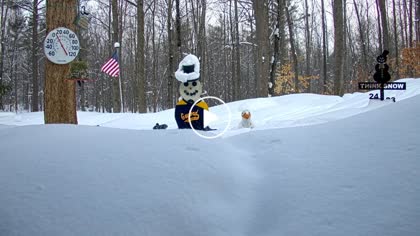 Gaylord - Snowman, Michigan (USA) - Webcams