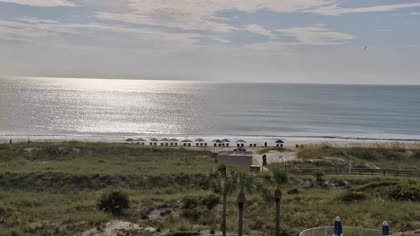 Amelia Island Webcams