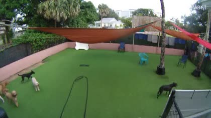 Stuart - The Bark Park, Florida (USA) - Cámaras web, webcam