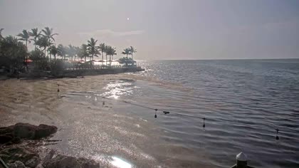 Islamorada - Postcard Inn Beach Resort and Marina, Florida (USA ...