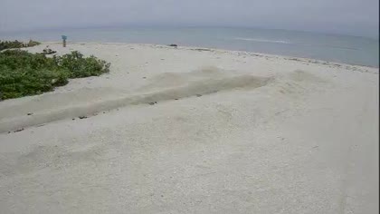 Bonita Springs - Strand, Florida (USA) - Webcams