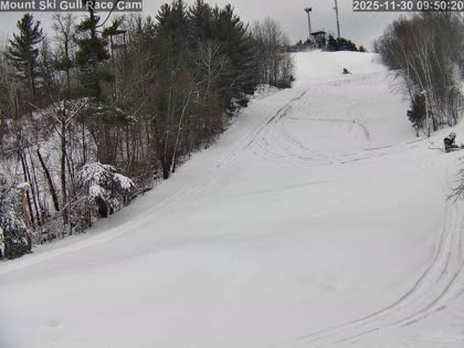 Nisswa - Mount Ski Gull, Minnesota (USA) - Webcams