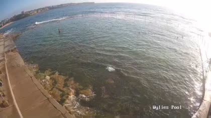 Coogee - Wylie’s Baths, Sydney - kamery internetowe, webcams