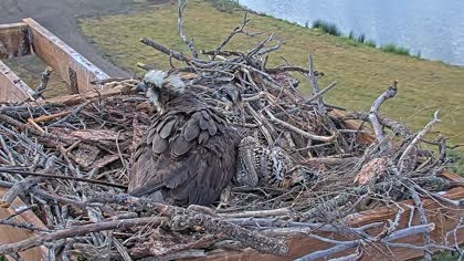 Pagosa Springs - Lake Capote Recreation Area - Osprey, Colorado (USA ...