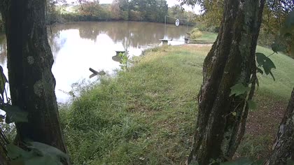 Arden - French Broad River, Caroline du Nord (USA) - Webcams